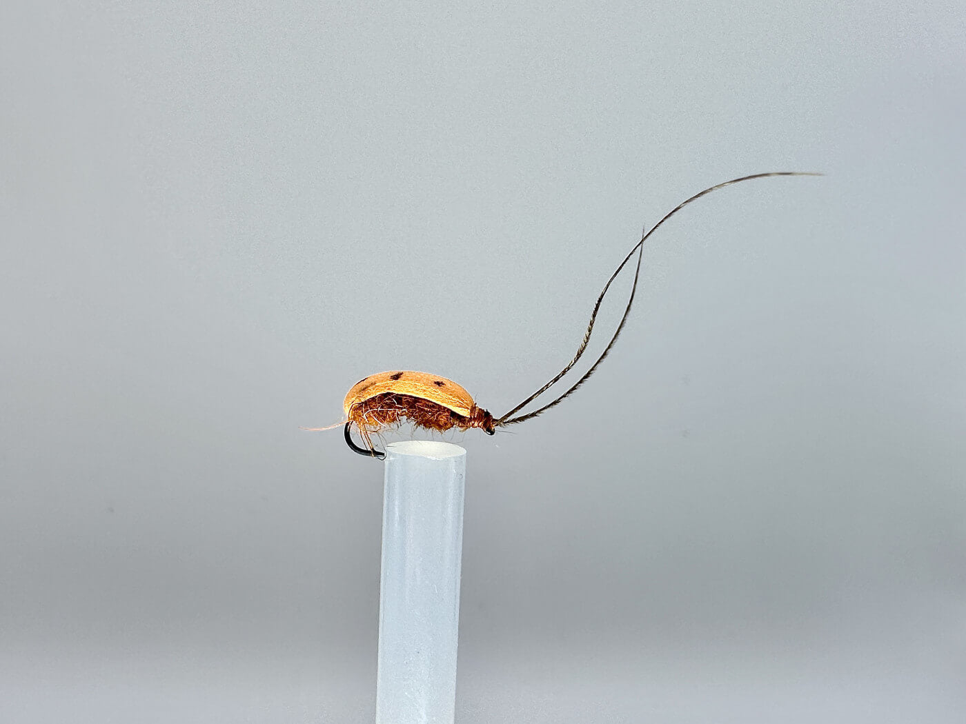 Bubble Bug – Ussuris