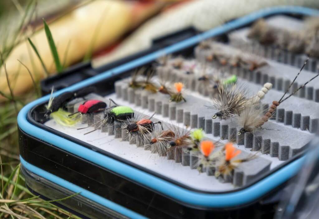 Flies: A Comprehensive Guide to Fishing Flies Patterns, Dry vs Wet Fli ...