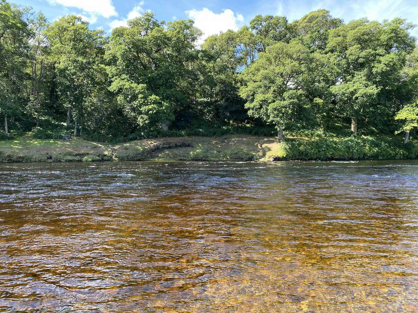 Georgia's Hidden Trout Havens – Ussuris